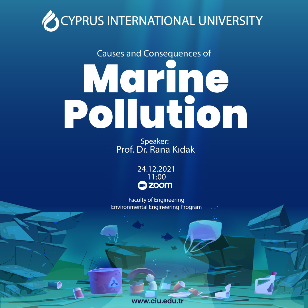 Causes and Consequences of Marine Pollution | CIU