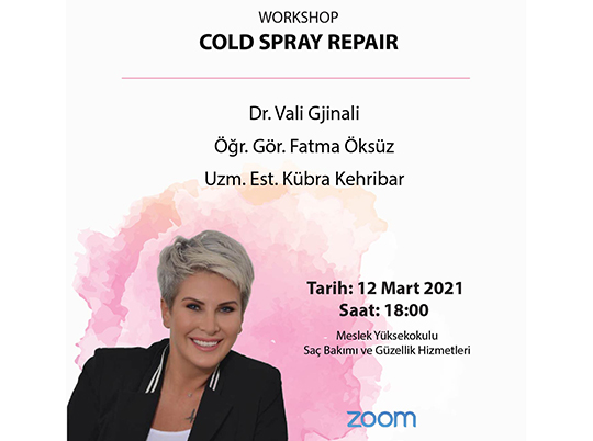 Cold Spray Repair Workshop | CIU